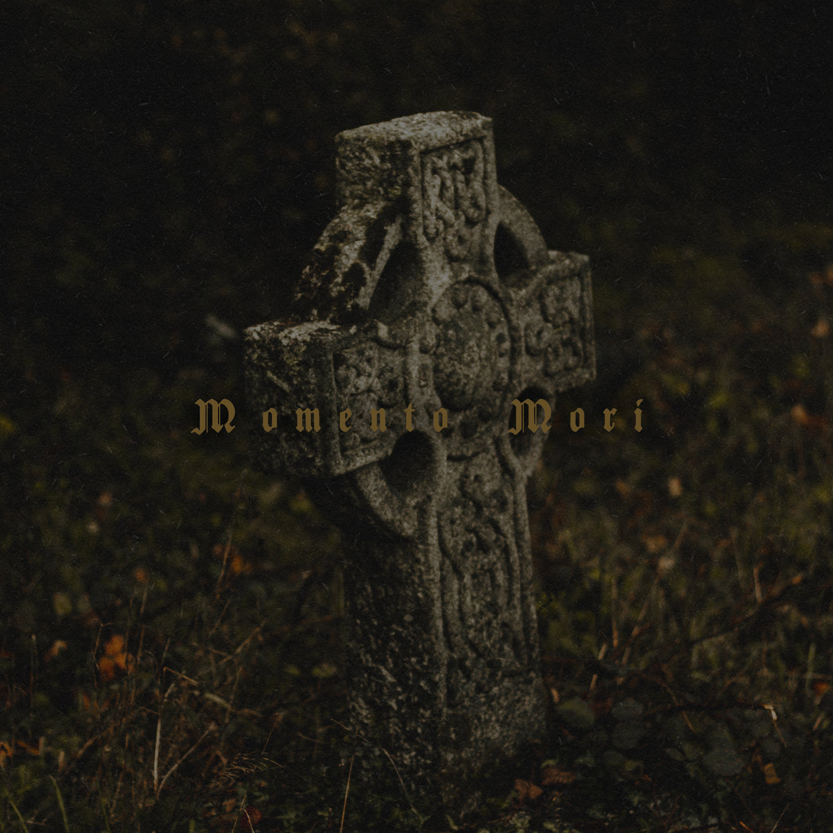 "MOMENTO MORI" Autumn '20 Editorial – DEAD ROSES